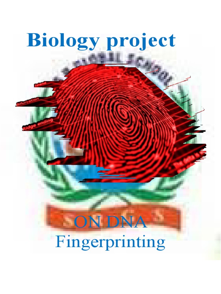 Biology Project: On Dna Fingerprinting | Descargar gratis PDF | Dna ...