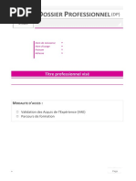 Dossier Professionnel Version Finale A Remplire | PDF