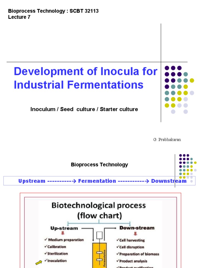 Lecture 7 - Development of Inocula Oct 2021 | PDF | Yeast | Staining