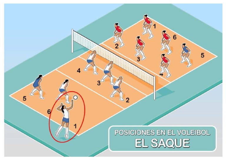 Posiciones en El Voleibol | PDF