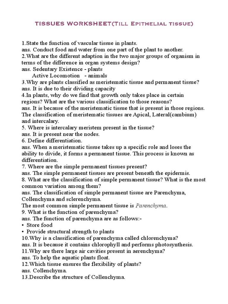 TISSUES WORKSHEET(Till Epithelial tissue) | PDF | Epithelium | Tissue ...