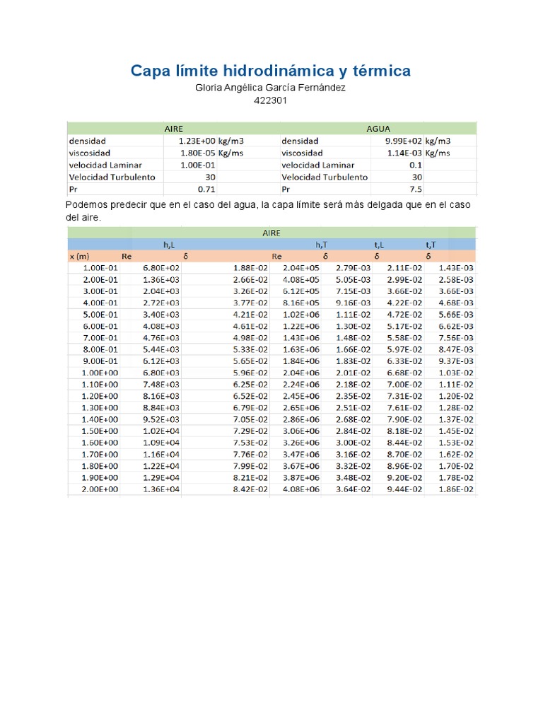 Capa Límite Hidrodinámica y Térmica | PDF