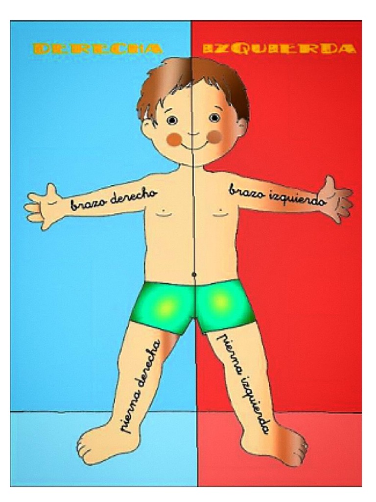 cuerpo lateralidad | PDF