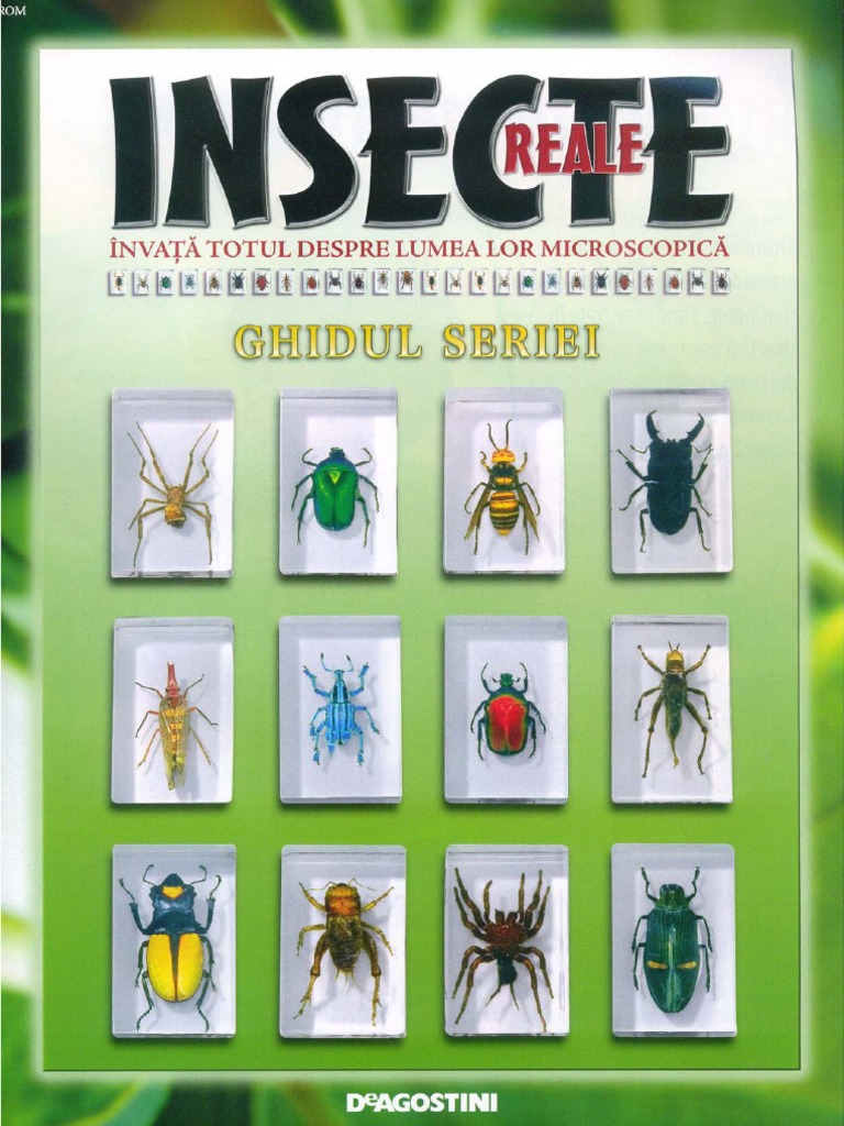 Insecte Reale DeAgostini nr.00 | PDF