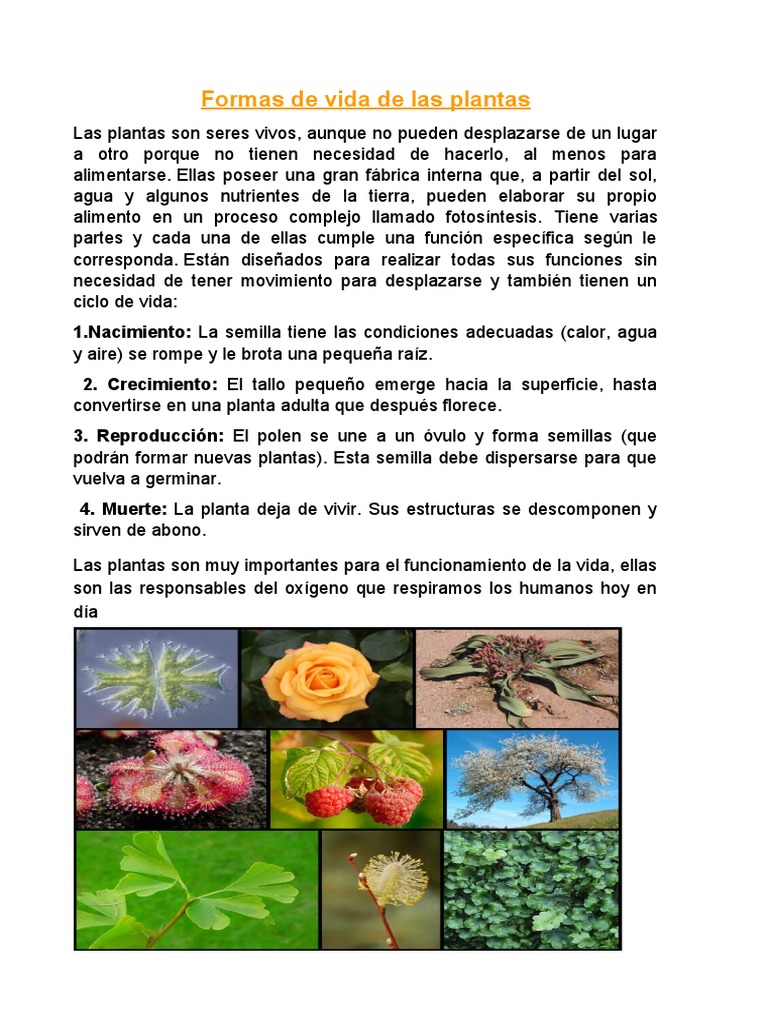 Formas de Vida de Las Plantas | PDF