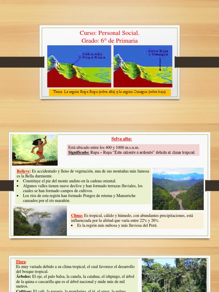 Las regiones de la selva peruana: selva alta y selva baja | PDF | Zona ...