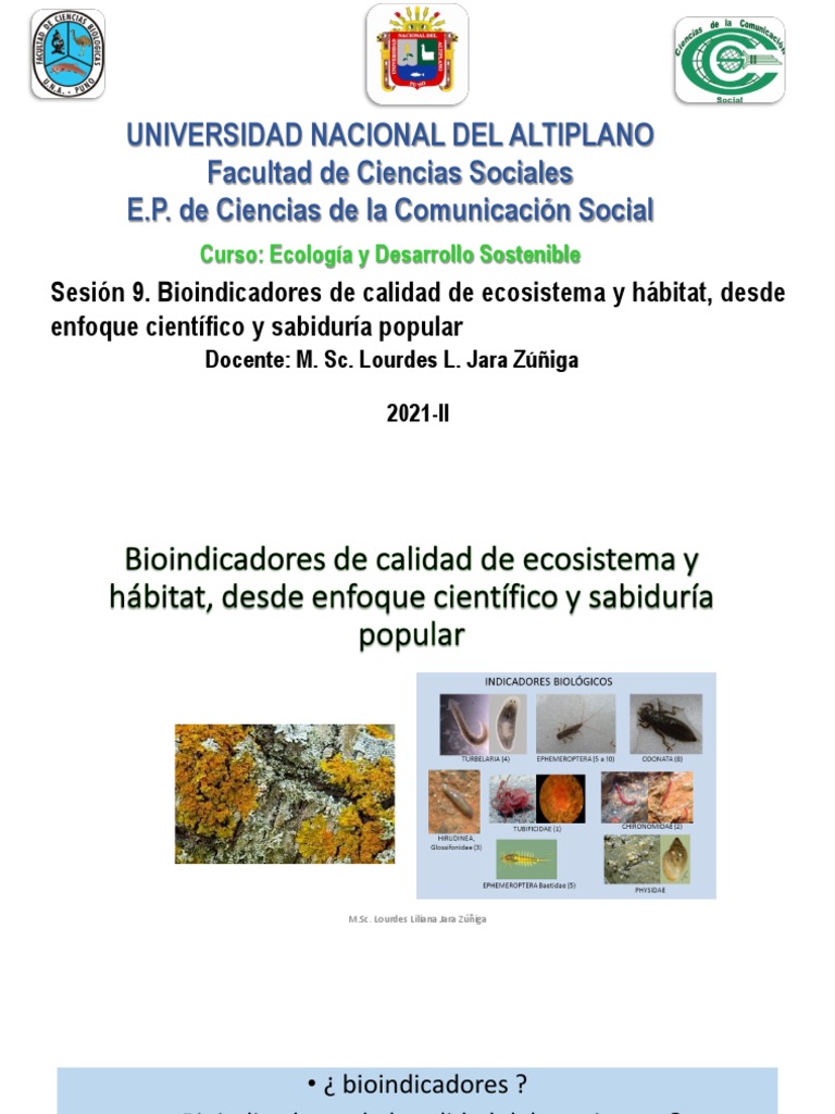 Sesion 9 Bioindicadores | PDF | Entorno natural | Ecosistema