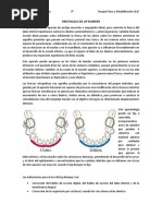 Resumen Simoes Network | PDF | Diente | Boca