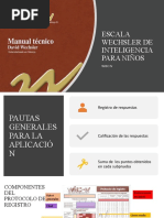 Protocolo WISC IV | PDF | Ciencia cognitiva | Pruebas psicologicas