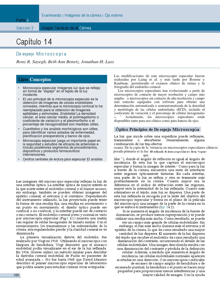 Microscopía Especular en Córnea | PDF | Córnea | Óptica