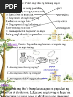 Sanhi at Bunga WORKSHEET | PDF