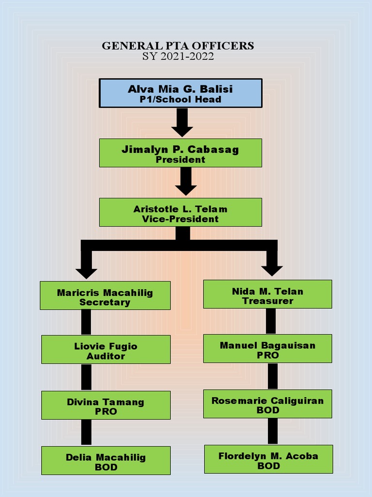 Pta Org Structure | PDF