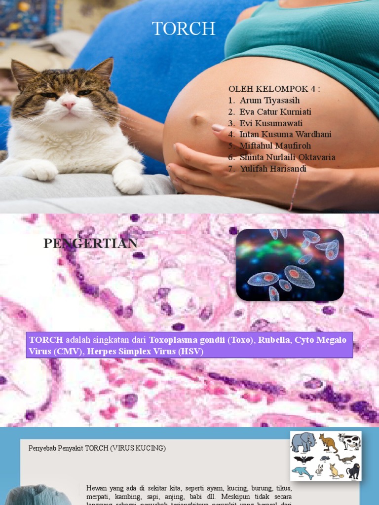 torch-pdf