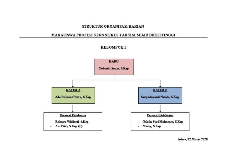 Struktur Organisasi Harian Mahasiswa Profesi Ners Stikes Yarsi Sumbar Bukittinggi Kelompok I | PDF