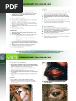 Cytologic Patterns - Eclinpath PDF | PDF | Neoplasms | White Blood Cell