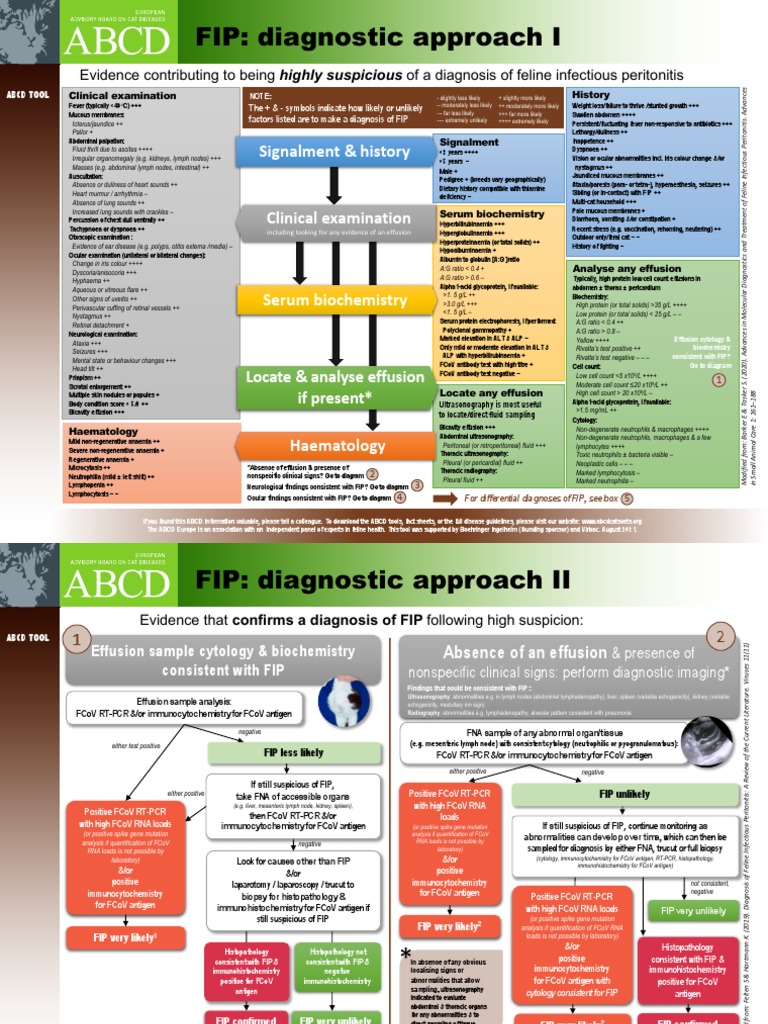 FIP: Diagnostic Approach I: Signalment & History | PDF | Reverse ...