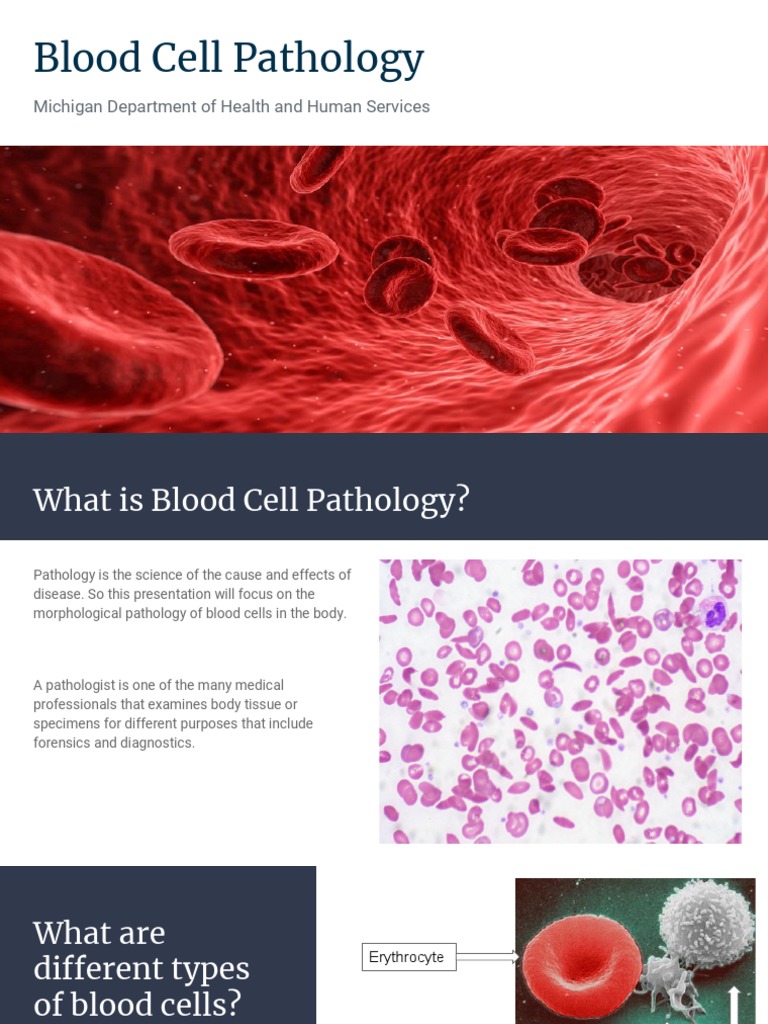 Blood Cell Pathology | PDF | Blood Cell | White Blood Cell