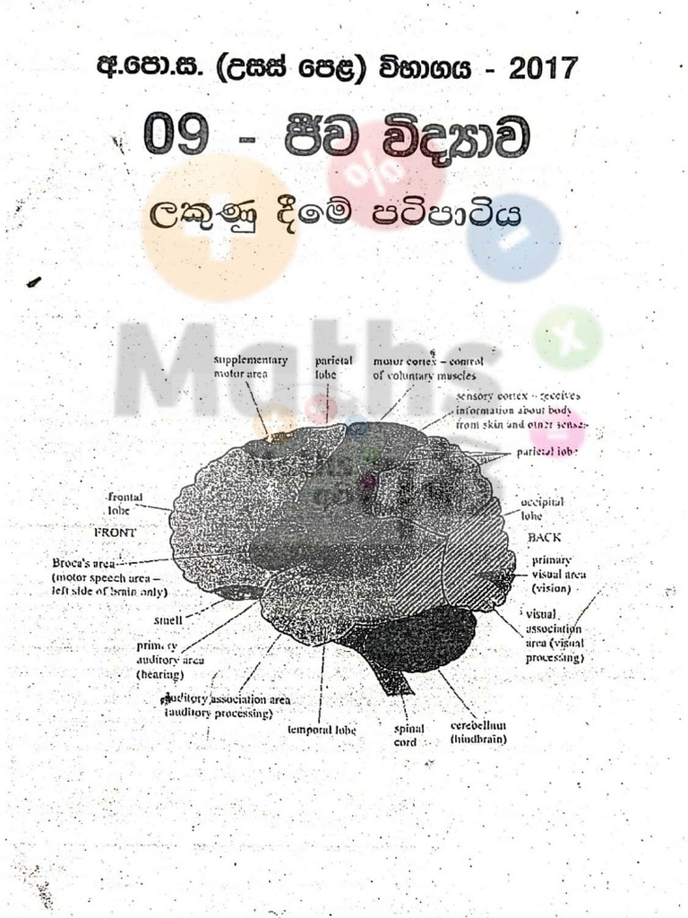Advanced Level Biology 2017 Marking Scheme | PDF