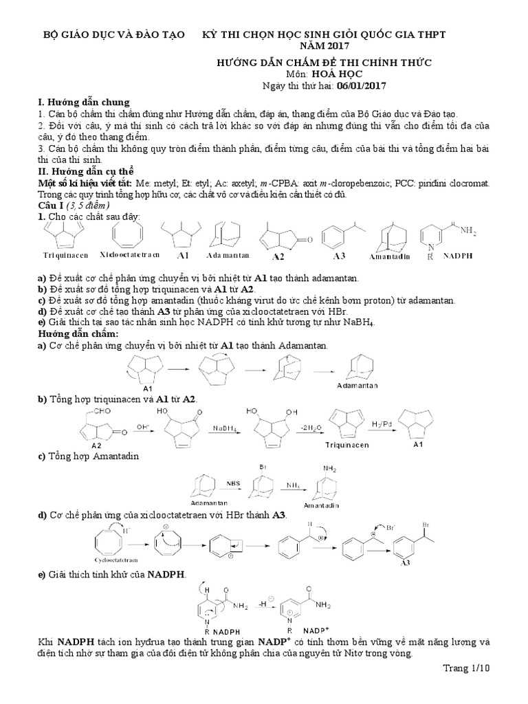 17 - HDC Ngay 2-HSG-2017 | PDF