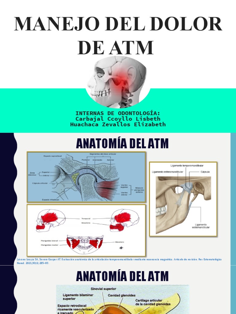 Manejo del Dolor en ATM y TTM | PDF | Ciencias de la Salud | Epidemiología