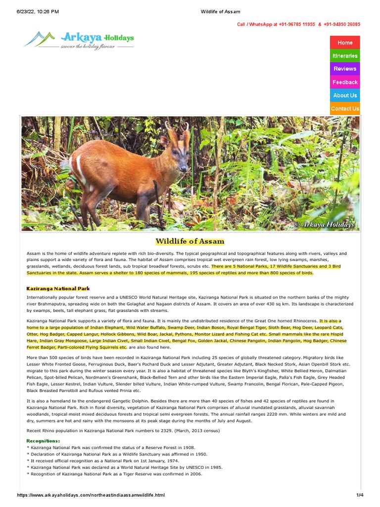 Wildlife of Assam | PDF