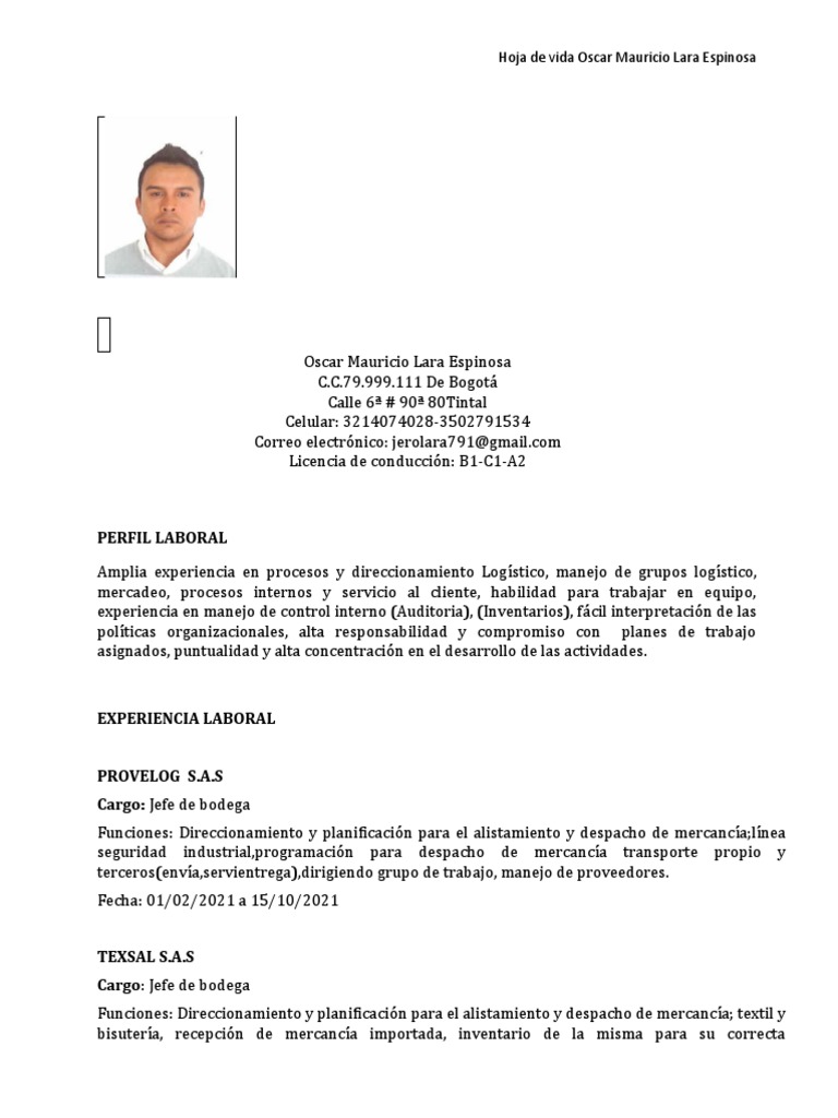 Hoja de Vida de Oscar Lara Espinosa | PDF | Logística | Business