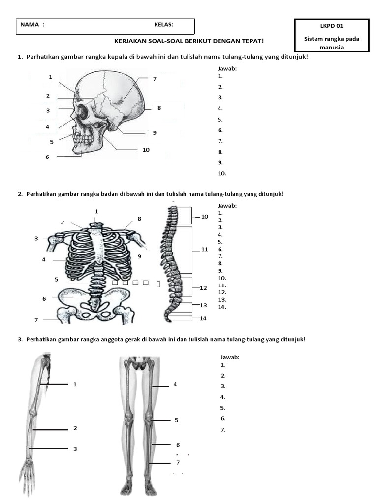 Soal Rangka | PDF