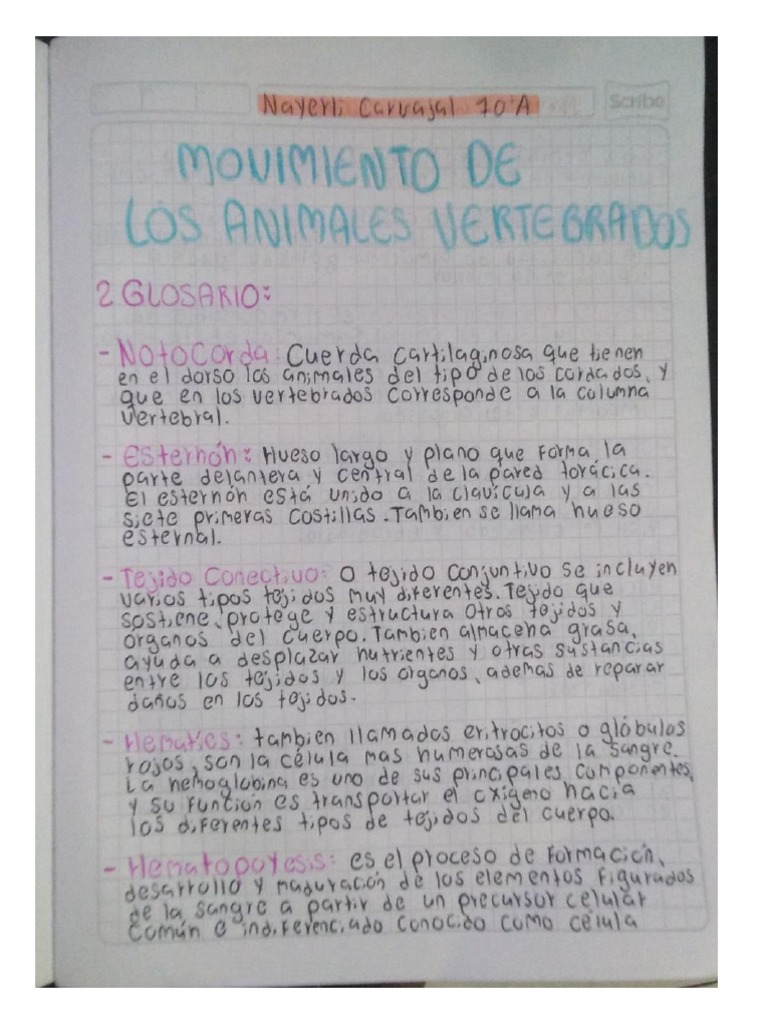 Movimiento de Animales Vertebrados | PDF