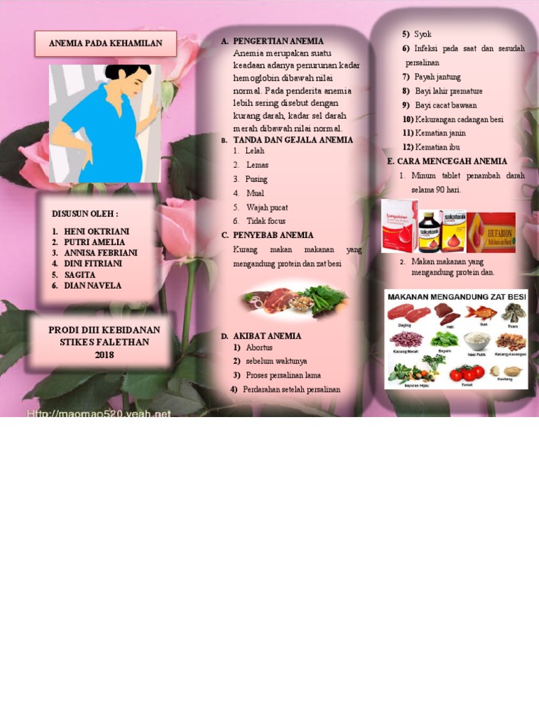 Leaflet Anemia | PDF