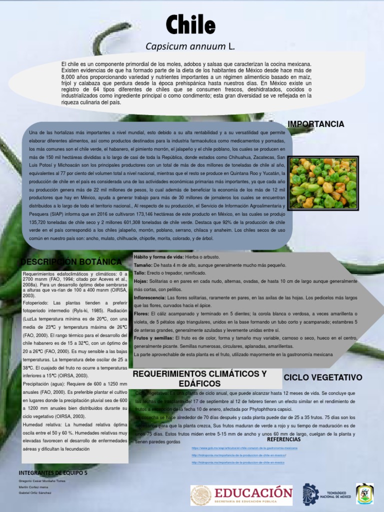Importancia del chile en México | PDF | Ají picante | Alimentos