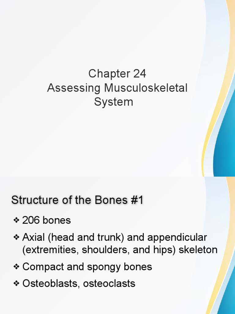 Rle Last Lecture Musculoskeletal System and Nervous System Assessment ...