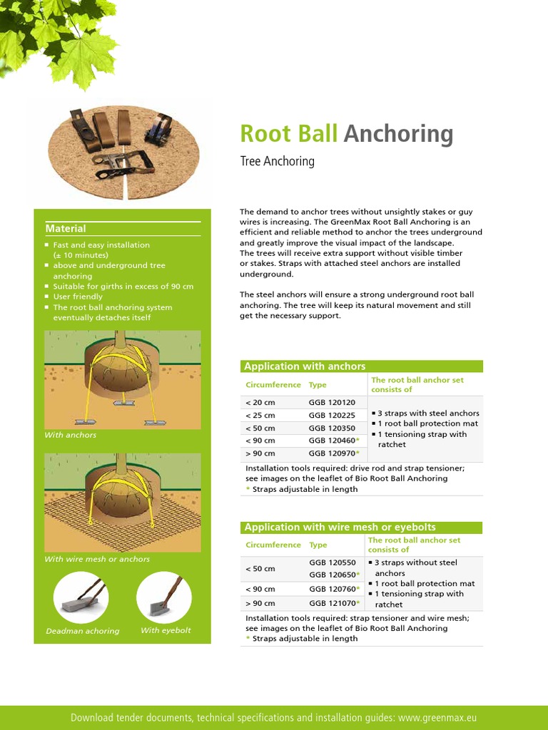 Root Ball: Anchoring | PDF | Anchor | Trees