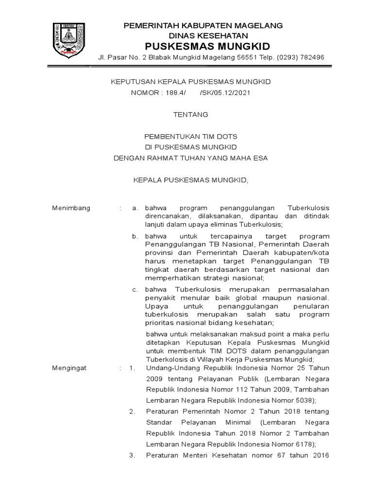 SK Pembentukan Tim Dots | PDF | Pengembangan Diri | Kesehatan Holistik