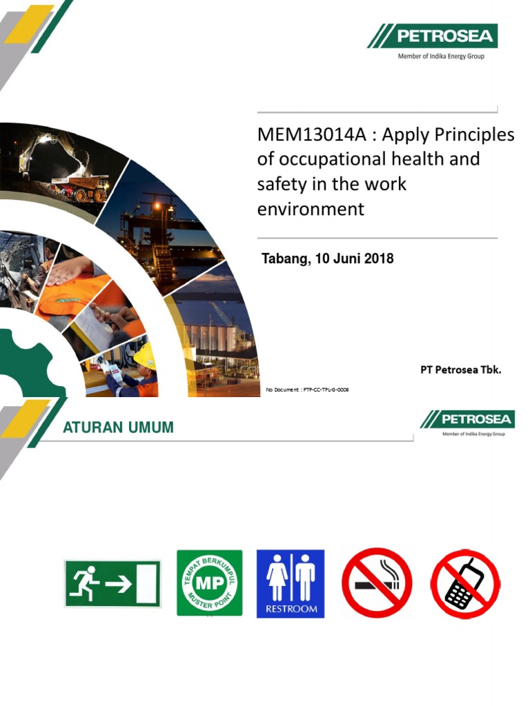 OHS in The Work Environment | PDF