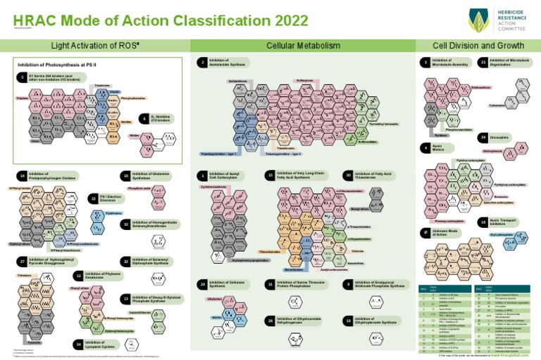 HRAC MOA Poster January 6 2022 | PDF | Biological Processes | Molecular ...