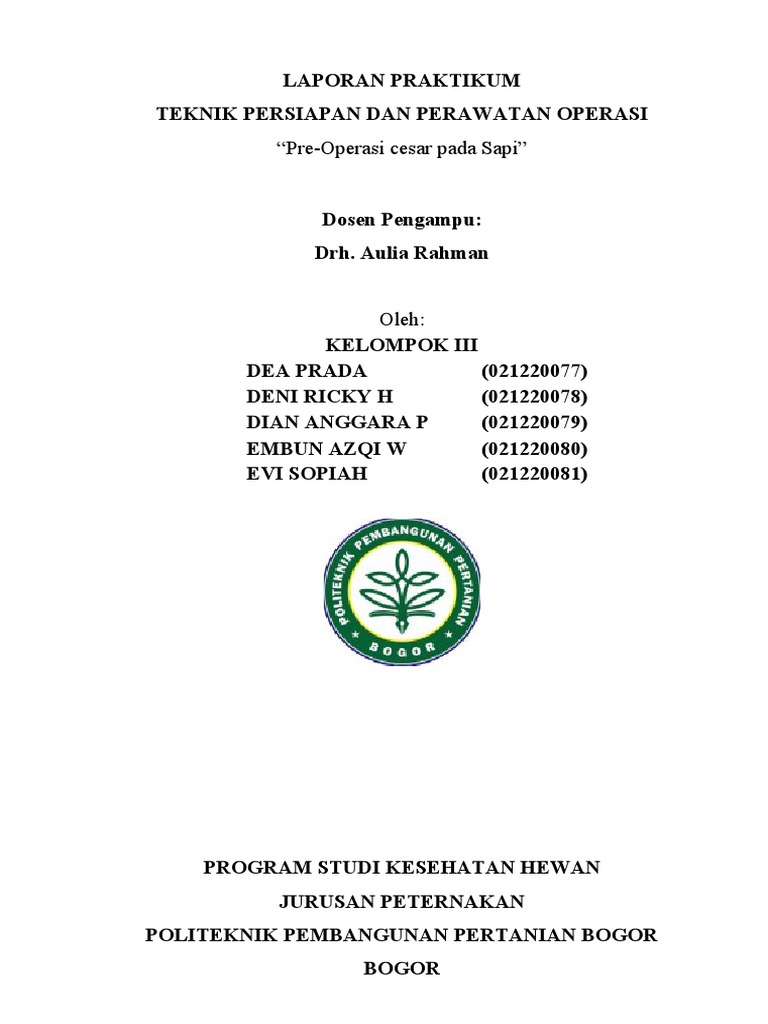 Pre-Operasi Cesar Pada Sapi | PDF