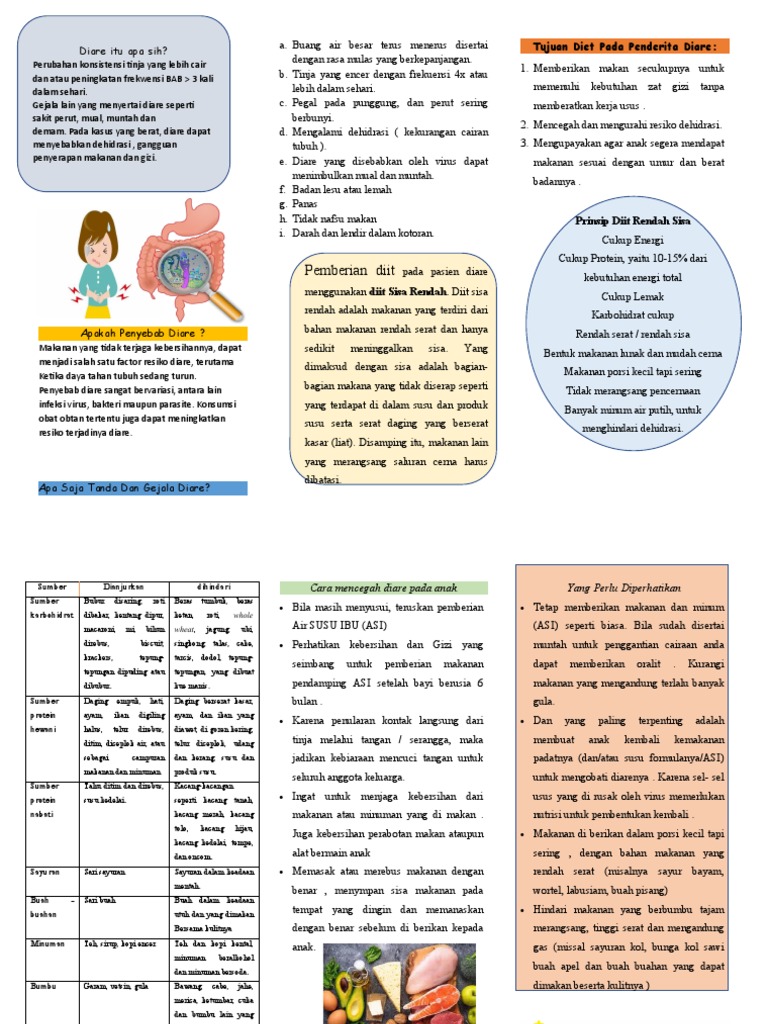 Draft Leaflet Diare | PDF