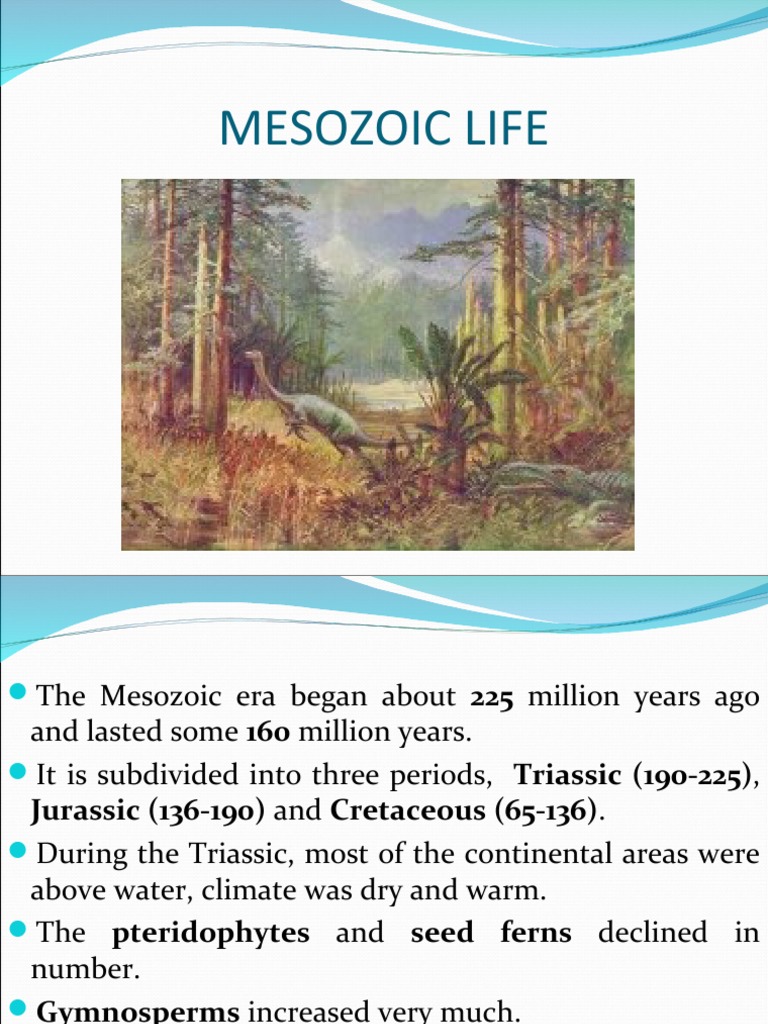 Mesozoic Life | PDF | Dinosaurs | Cretaceous