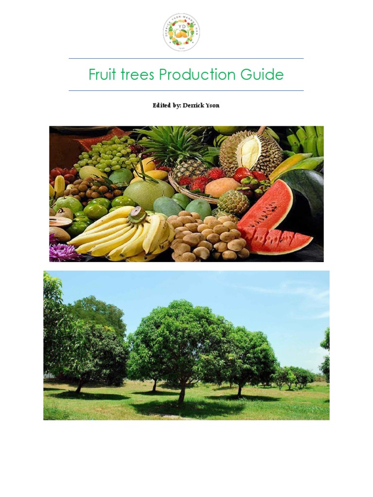 Philippine Fruit Trees Production Guide | PDF | Grafting | Pruning
