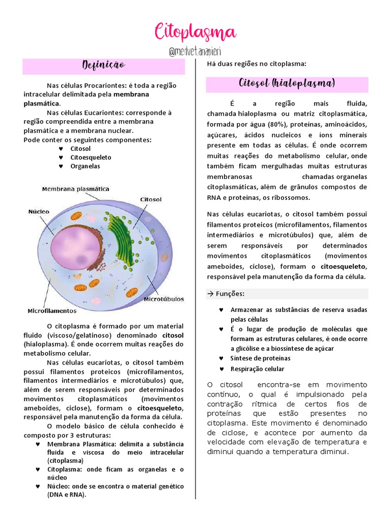 Resumo de Citoplasma | PDF | Célula (Biologia) | Citoplasma