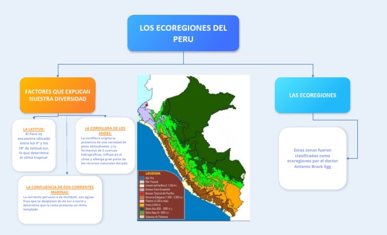 Mapa Conceptual ECOREGIONES DEL PERU | PDF