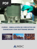 Bruno Metso | PDF | Simulación | Software