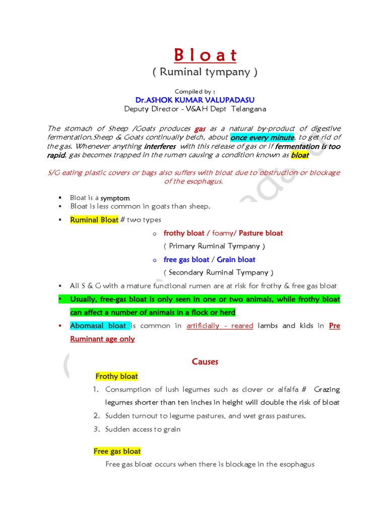 Bloat: (Ruminal Tympany) | PDF | Sheep | Goat