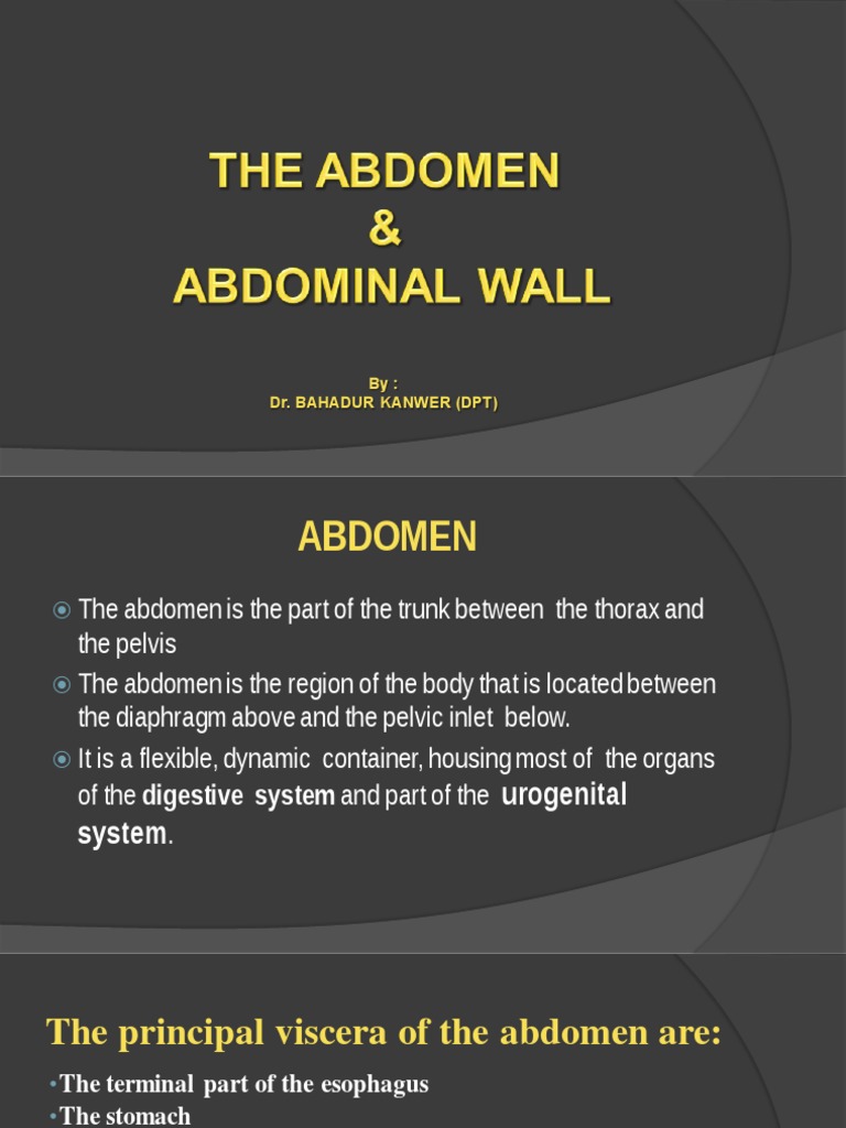 Abdomen and Abdominal Wall | PDF | Abdomen | Pelvis