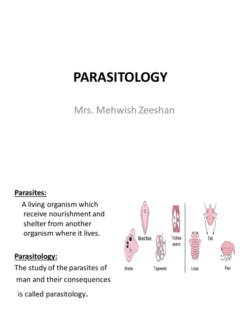 Parasitology Lecture 1 | PDF | Malaria | Parasitism