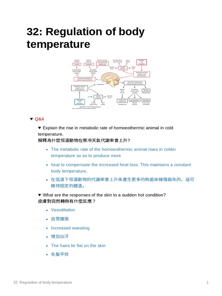 BioA4 32 Regulation of Body Temperature | PDF | Thermoregulation ...