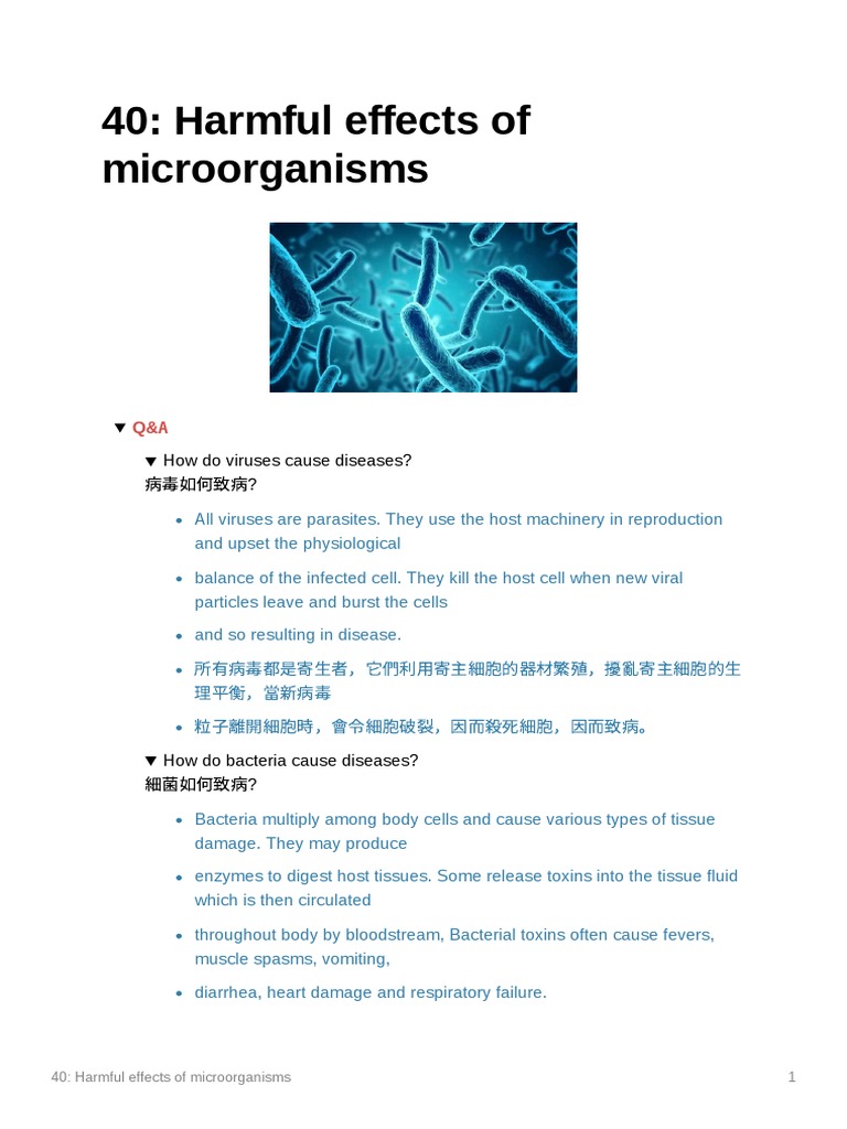 BioA4 40 Harmful Effects of Microorganisms | PDF | Foodborne Illness ...
