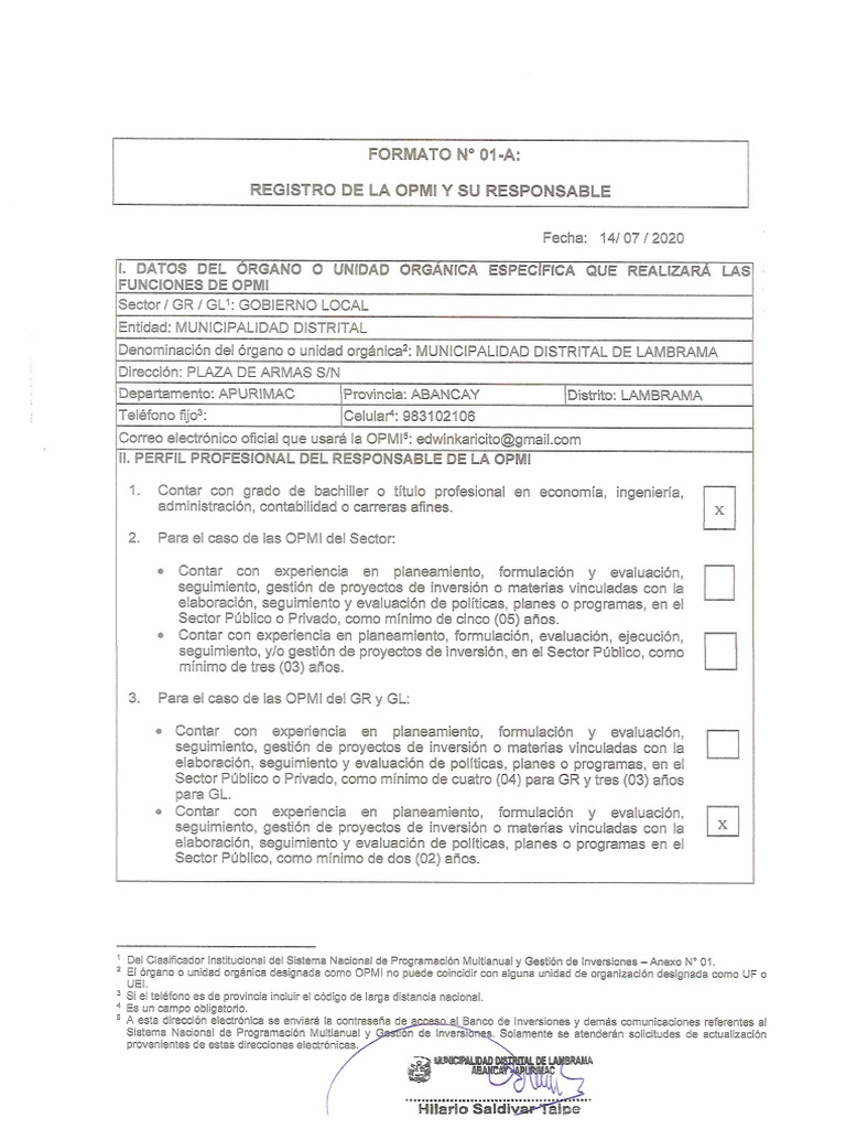 Formato N°01-A Opmi | PDF