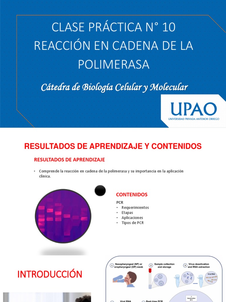 10 Práctica PCR y Variantes Final | PDF | Reacción en cadena de la ...