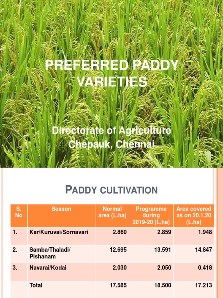 Preferred Paddy Varieties: Directorate of Agriculture Chepauk, Chennai ...